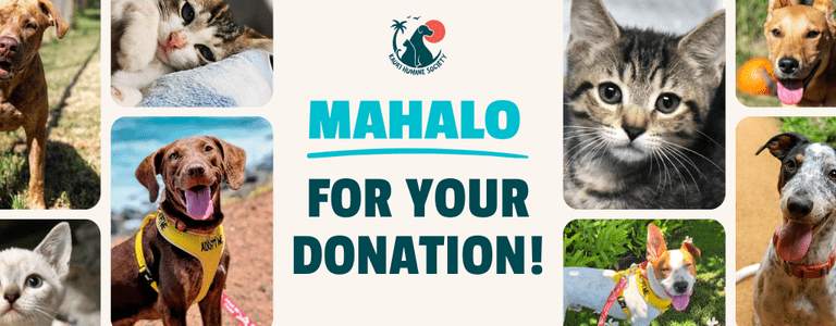 Donation Mahalo Page - Kaua’i Humane Society